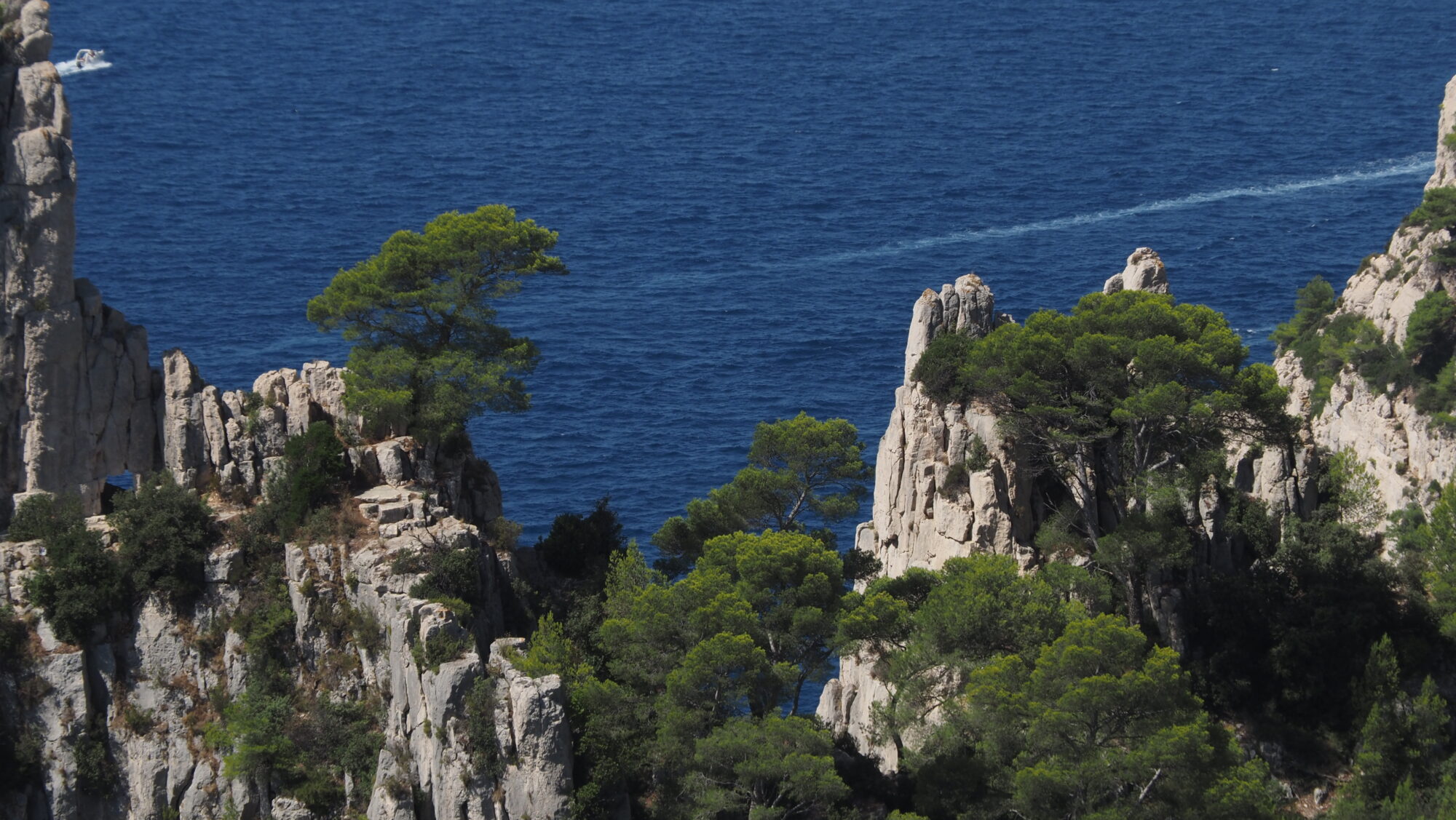 EVERYTHING YOU NEED TO KNOW ABOUT HIKING IN THE CALANQUES DE CASSIS EXPLORE
